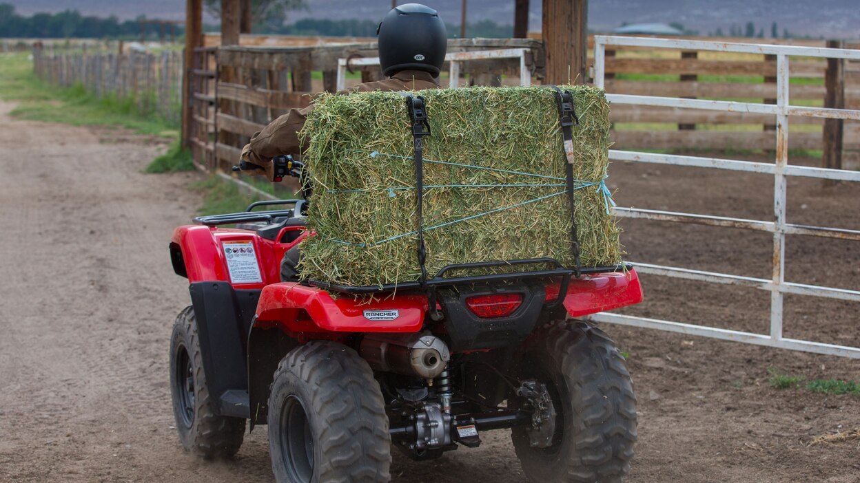 Honda Rancher ATV Canada | Honda Powersports Canada